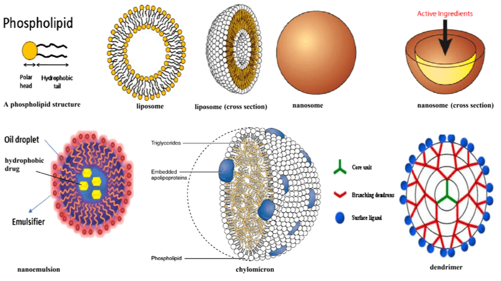 Mempro™ Liposome In Cosmetics Creative Biostructure