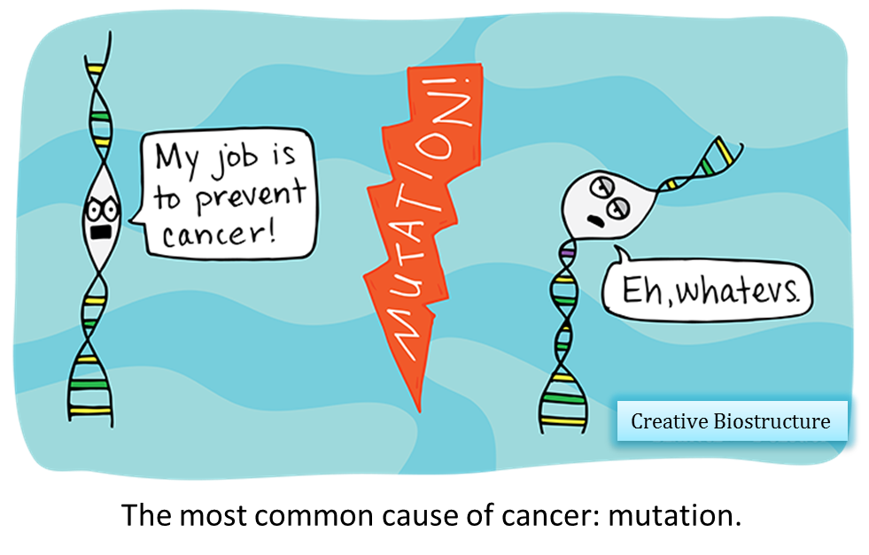 Science Jokes: Something Funny – Creative Biostructure Blog