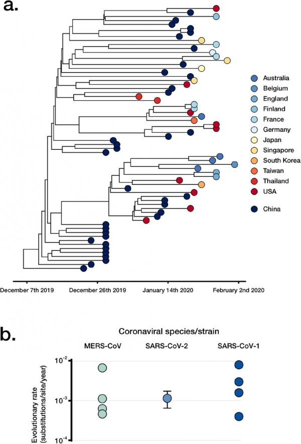 First Direct Sequence of SARS-CoV-2 RNA Achieved – Creative Biostructure Blog
