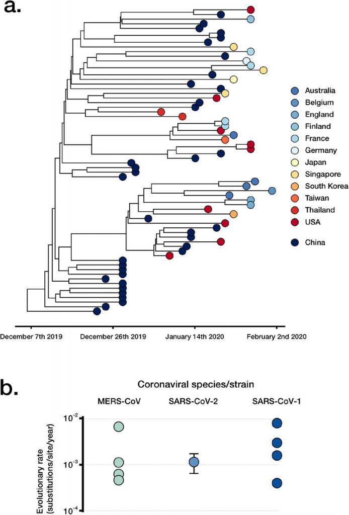 First Direct Sequence of SARS-CoV-2 RNA Achieved – Creative ...