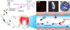 Advances in Research on Multi-modal Imaging Tracing for Drug Delivery ...