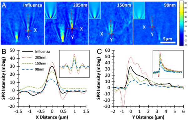 Label-free Single Molecule Optical Imaging Based on Surface Plasmon ...