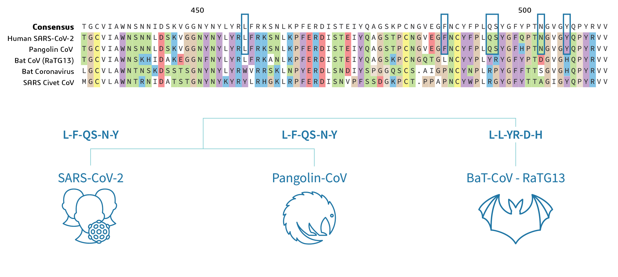 Protein Sequence Analysis For Coronavirus Research Creative Protein Sequence Analysis For Coronavirus Research Creative