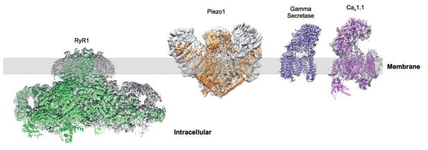 Cryo-EM for Membrane Proteins