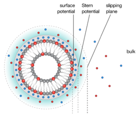 Liposomes Technology - Creative Biostructure