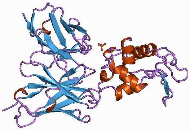 Mempro™ Cell-Based Immunoglobulin Superfamily Protein Production ... Mempro™ Cell-Based Immunoglobulin Superfamily Protein Production ...