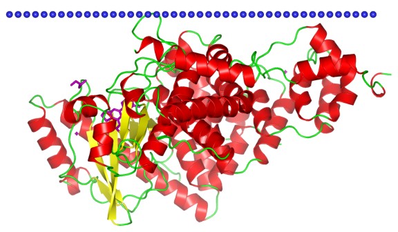 Mempro™ Detergent-Free Phosphatidylinositol 3-/4-Kinase Production ... Mempro™ Detergent-Free Phosphatidylinositol 3-/4-Kinase Production ...