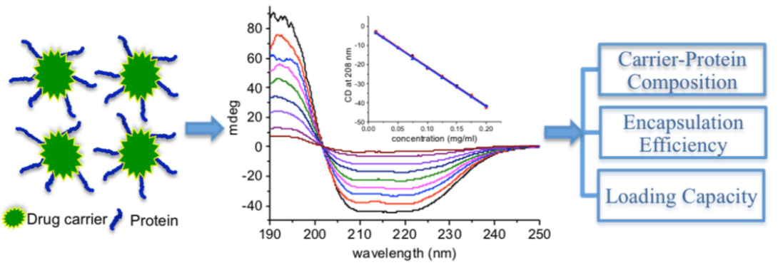 Liposome Encapsulation Efficiency Determination - Creative Biostructure