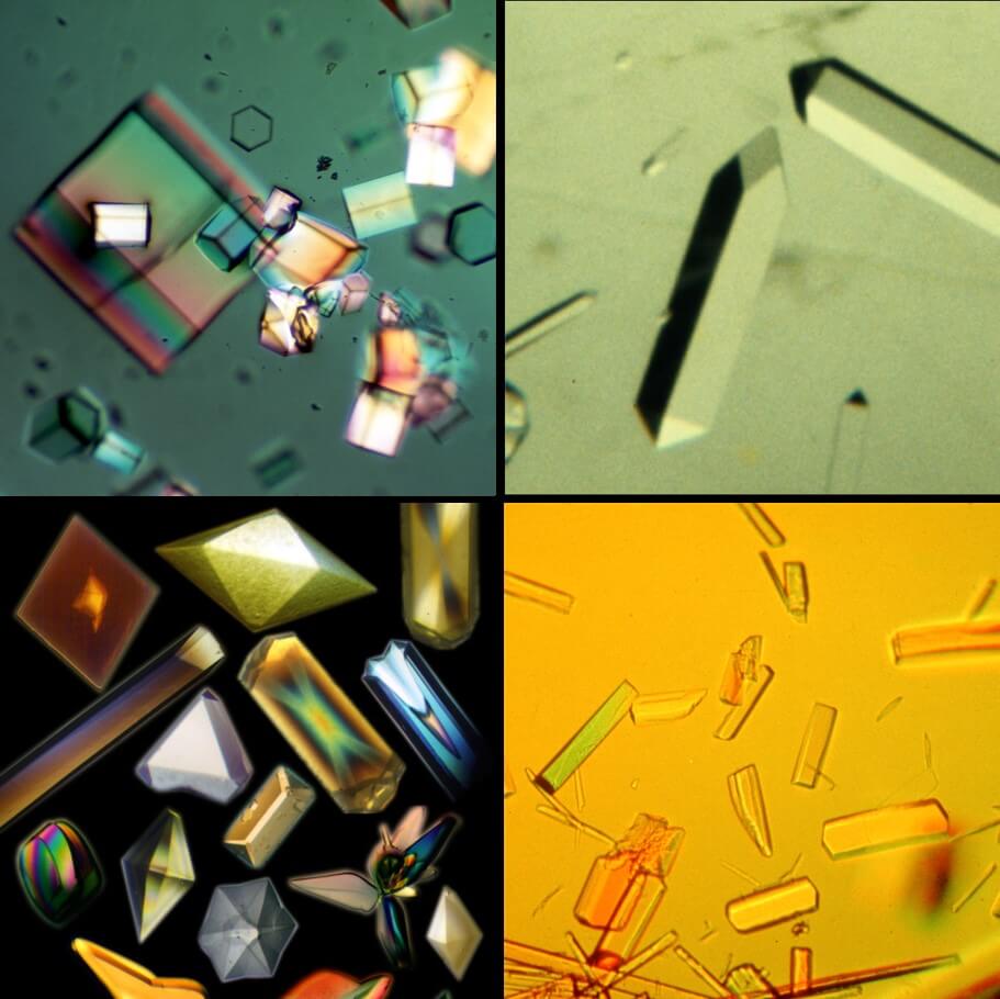 Protein Crystallization - Creative Biostructure Protein Crystallization - Creative Biostructure