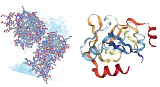 Protein Crystallization - Creative Biostructure