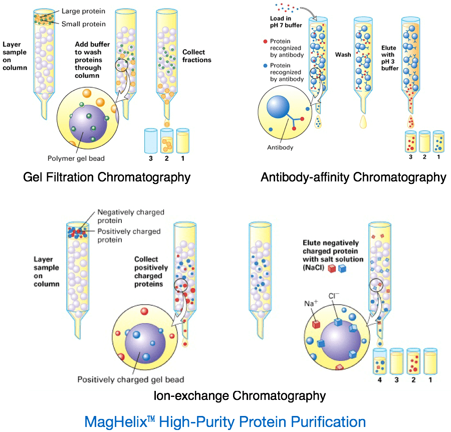 Protein Production And Purification Creative Biostructure
