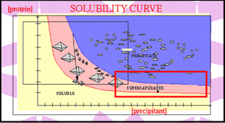 Protein Crystallography - Creative Biostructure