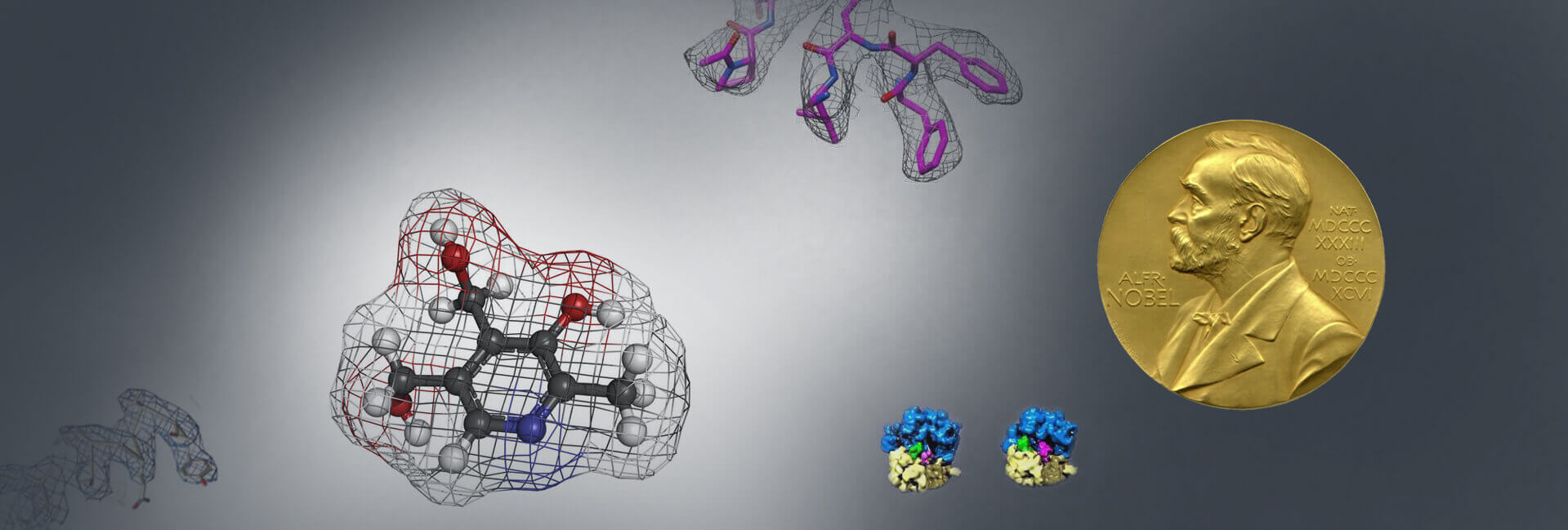 Creative-Biostructure, protein structure and characterization, drug discovery