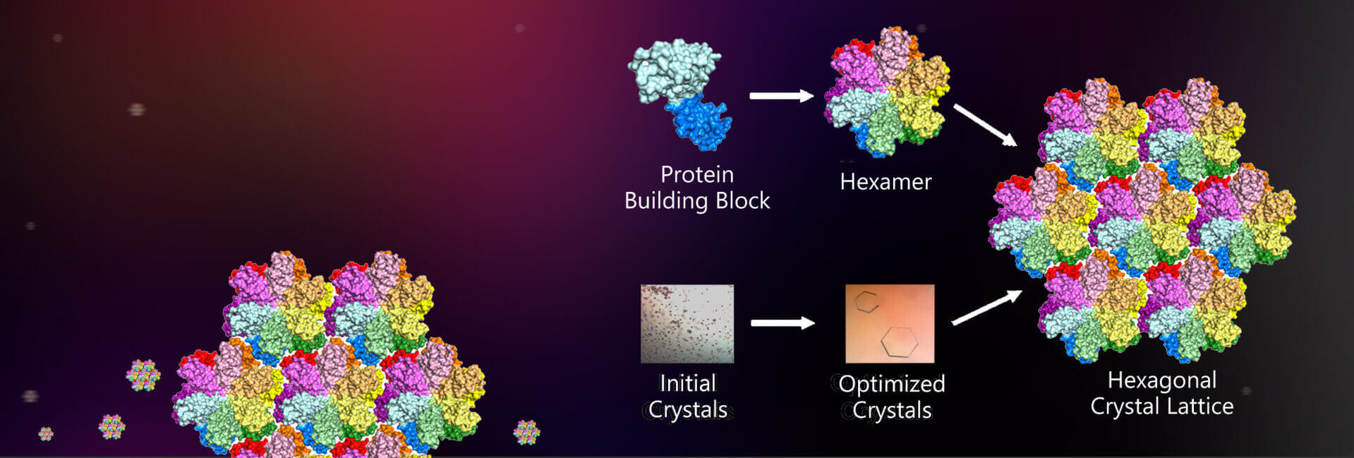 Creative-Biostructure, protein structure and characterization, drug discovery