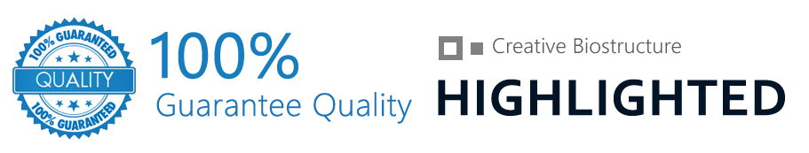 Creative-Biostructure, protein structure and characterization, drug discovery