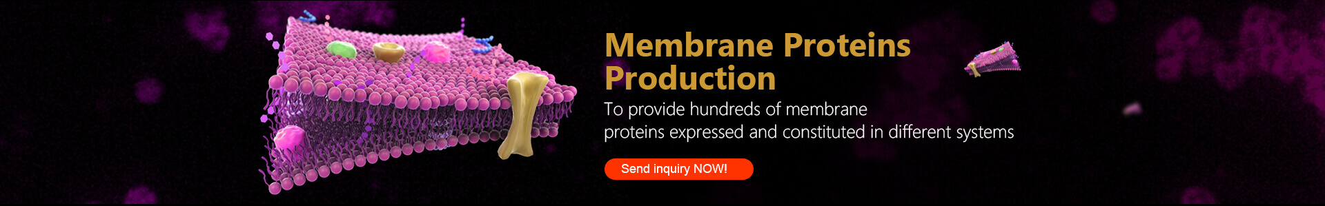 Creative-Biostructure, protein structure and characterization, drug discovery