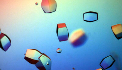 Creative-Biostructure, protein structure and characterization, drug discovery