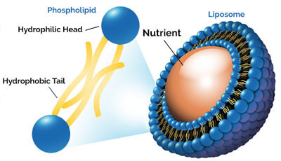 Creative-Biostructure, protein structure and characterization, drug discovery