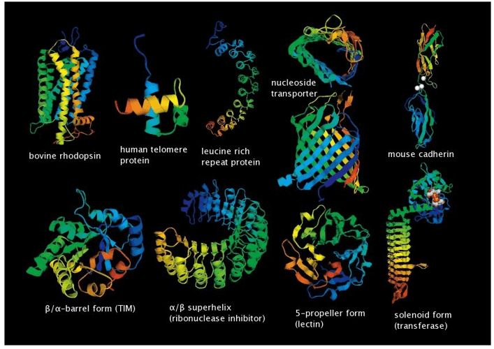 Structural Biology Services - Creative Biostructure