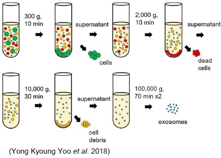 Exosome Isolation Services - Creative Biostructure