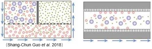 Exosome Isolation Services - Creative Biostructure