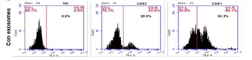 Exosome Characterization Services - Creative Biostructure Exosome Characterization Services - Creative Biostructure
