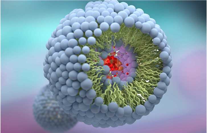 Technologies & Methods - Creative Biostructure
