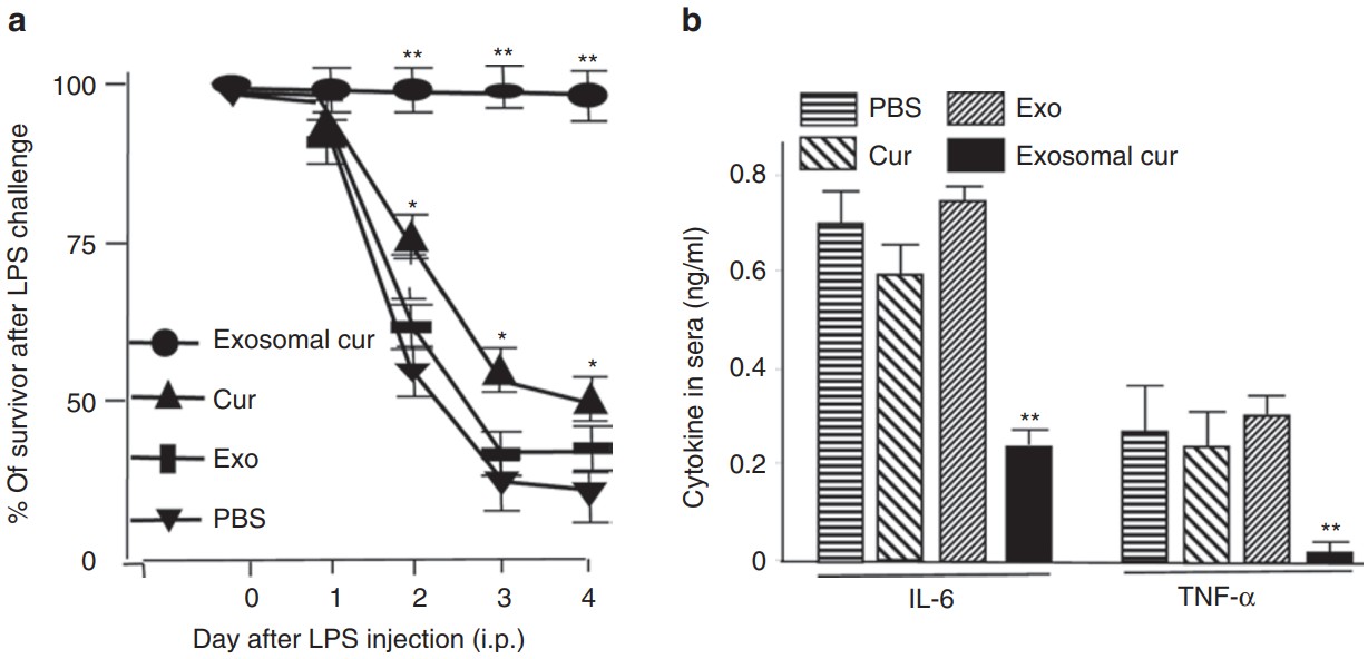 PNExo™ Exosome-Turmeric - Creative Biostructure